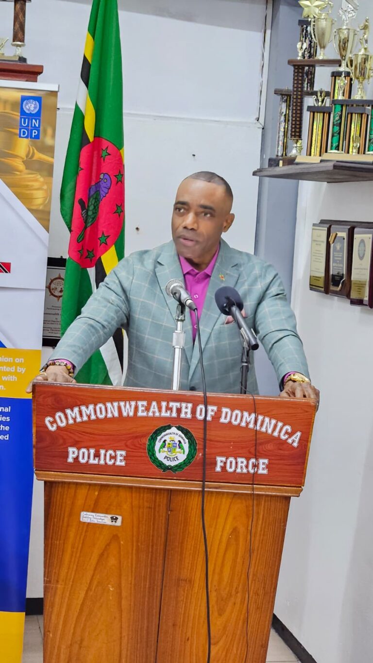 Dominica's National Security Minister highlights the need for proper ...